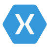 Cross-platform mobile app development